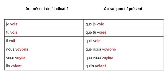 Quelle ou qu'elle : comment choisir ? - Sherpas