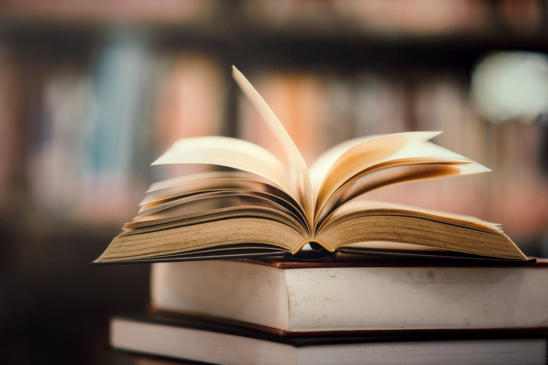 Roman : genre littéraire - Sherpas 📚