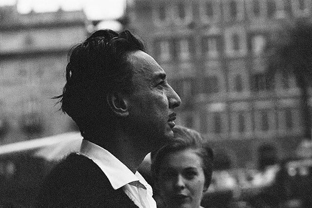 Romain Gary : un homme multiple 🤹 - Sherpas