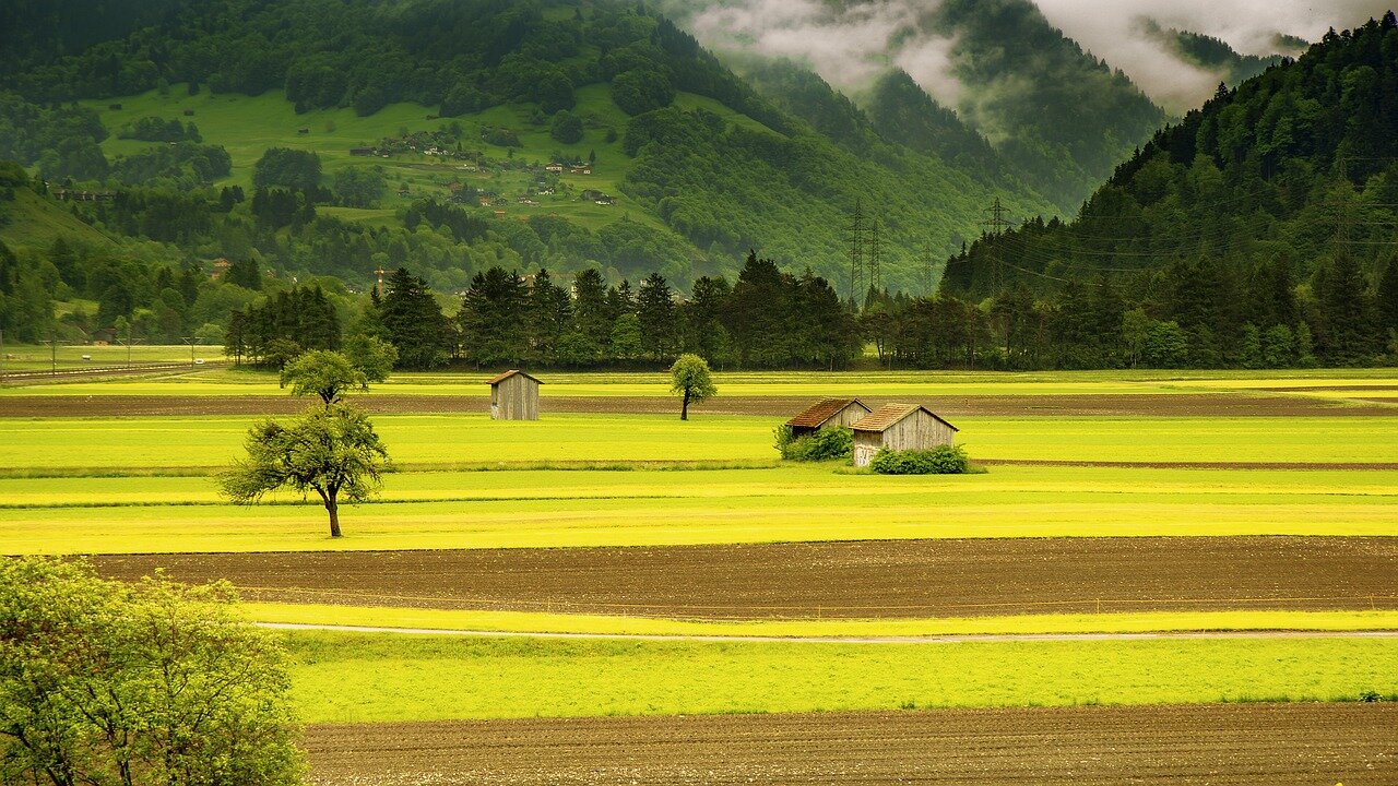🏞️ Tout savoir sur les espaces ruraux - Sherpas