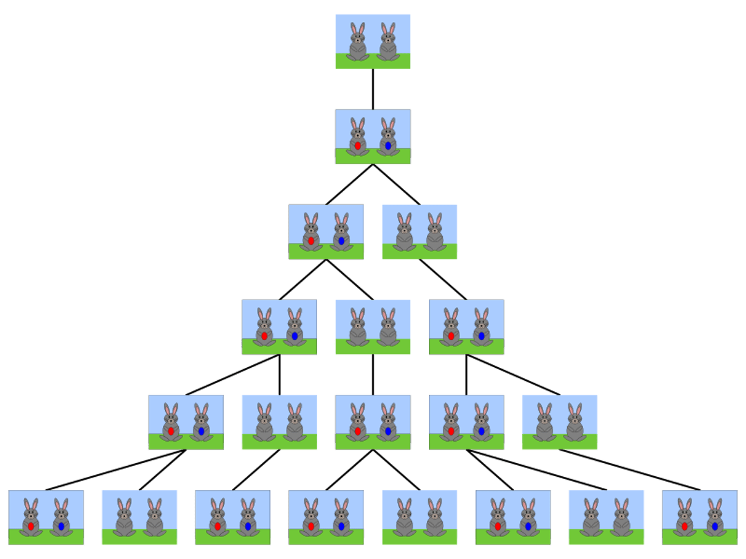 Maths : la suite de Fibonacci et le nombre d’or - Sherpas